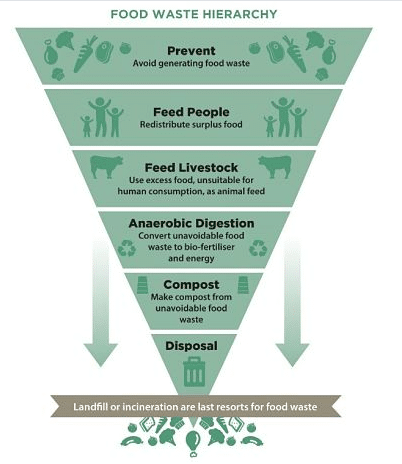 6 Facts And Figures About Food Waste In Ireland - Sustainable Tourism ...