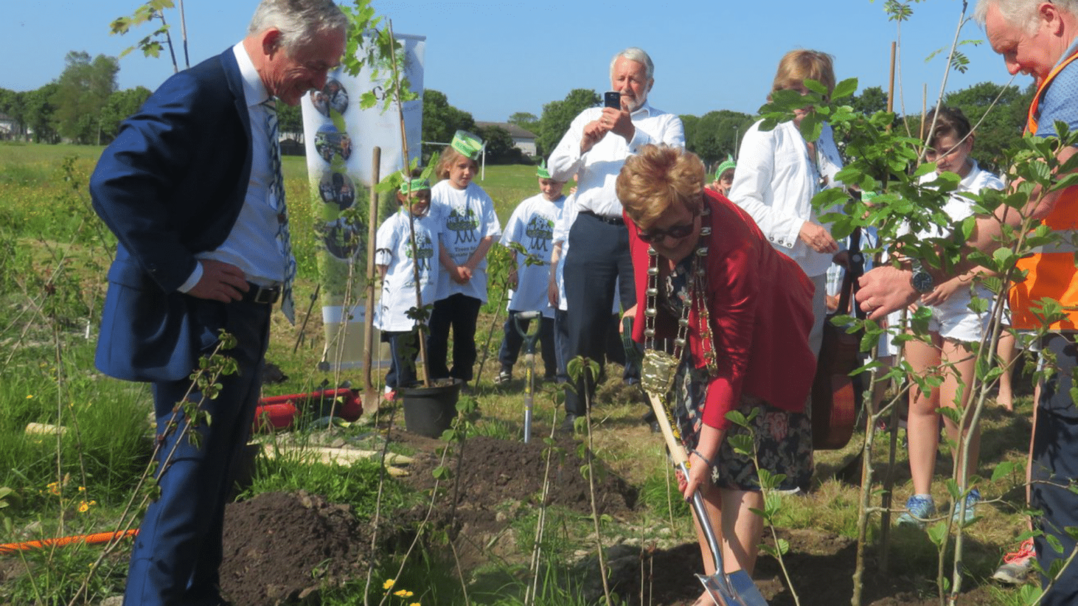 15 Irish Organisations That Support Biodiversity