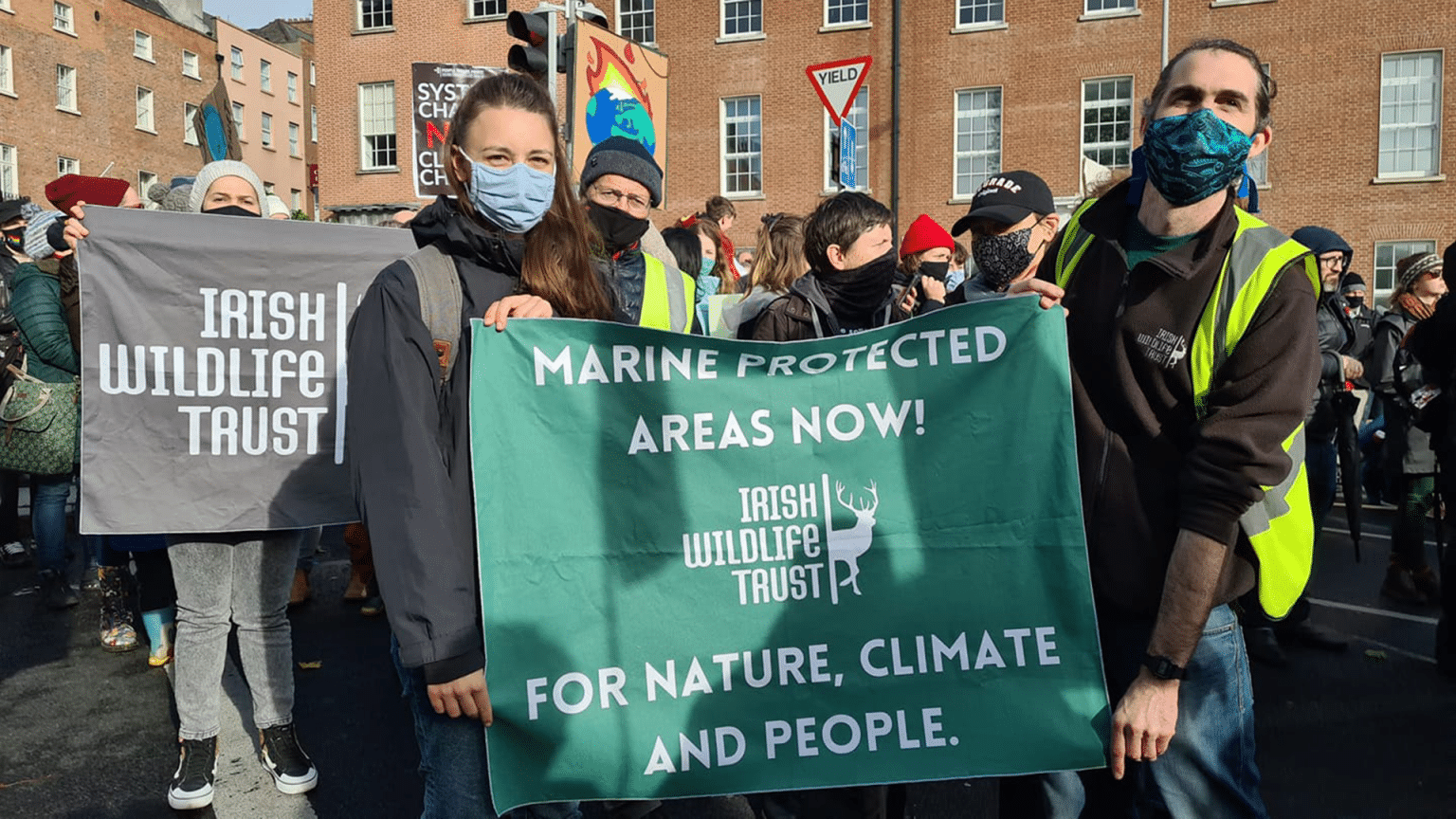 15 Irish Organisations That Support Biodiversity