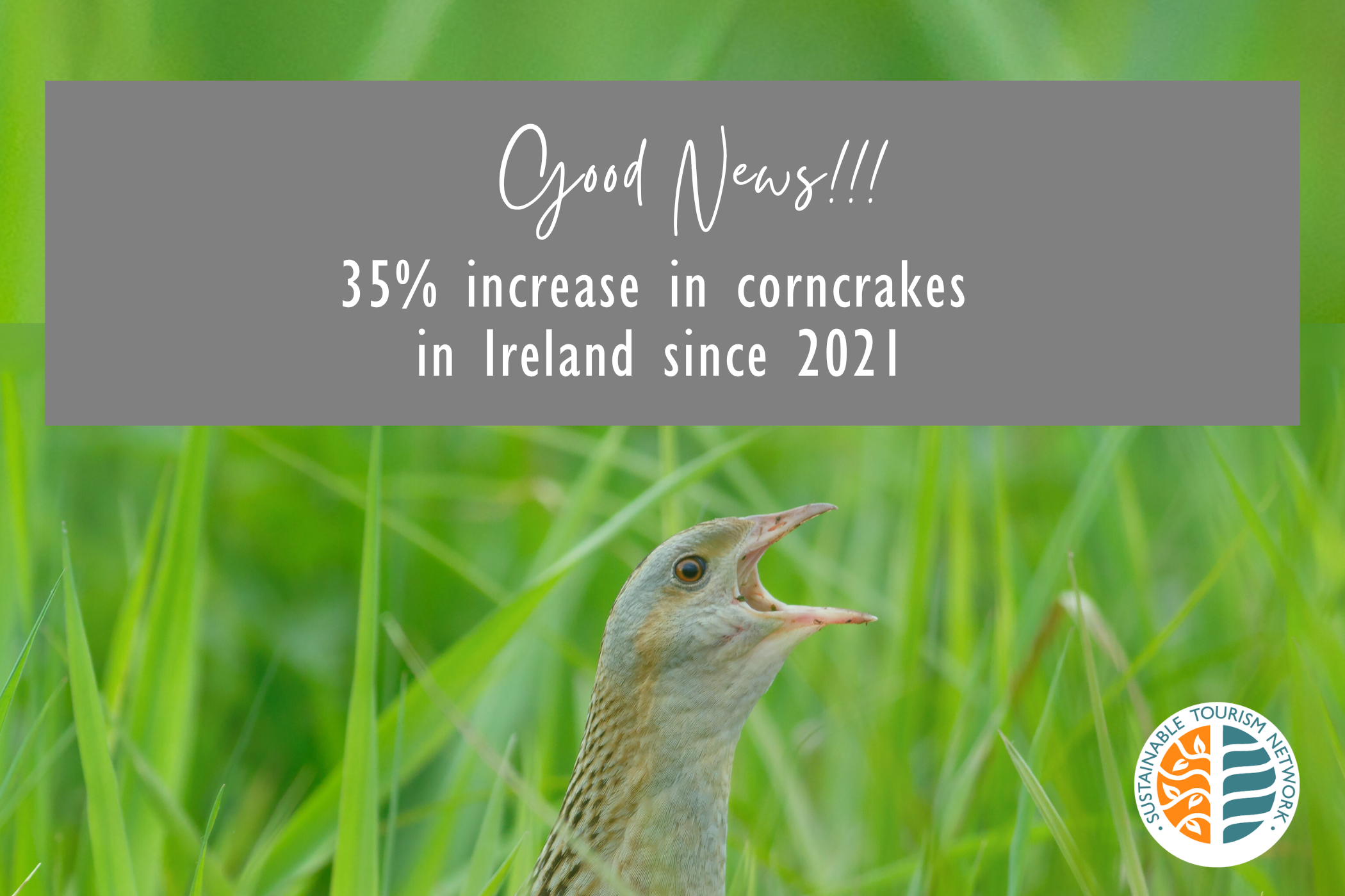 Survey Data Shows Positive Signs For The Return Of The Red-Listed ...