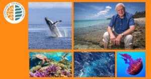 10 Powerful Learnings From David Attenborough’s New Film 'Ocean ...