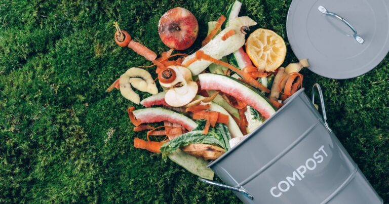Food Waste Reduction in Tourism: Lessons From Irish Tourism Businesses ...